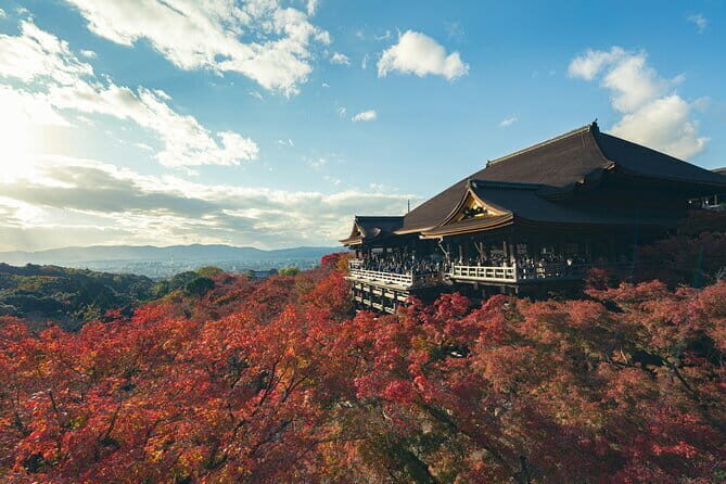 Kyoto: One day private Car tour - Who Should Consider This Tour?