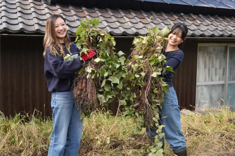 Kyoto: Organic Farm Experience with Vegetable Souvenir - Key Points