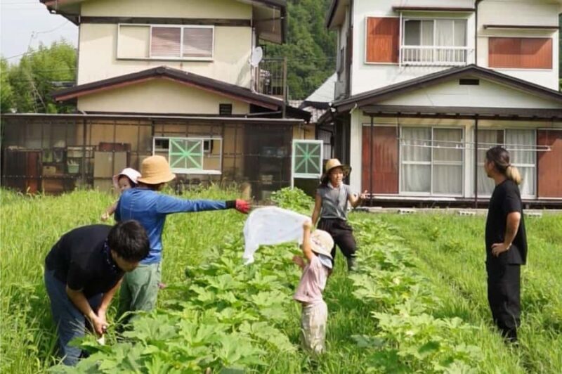 Kyoto: Organic Farm Experience with Vegetable Souvenir - A Closer Look at the Kyoto Organic Farm Experience