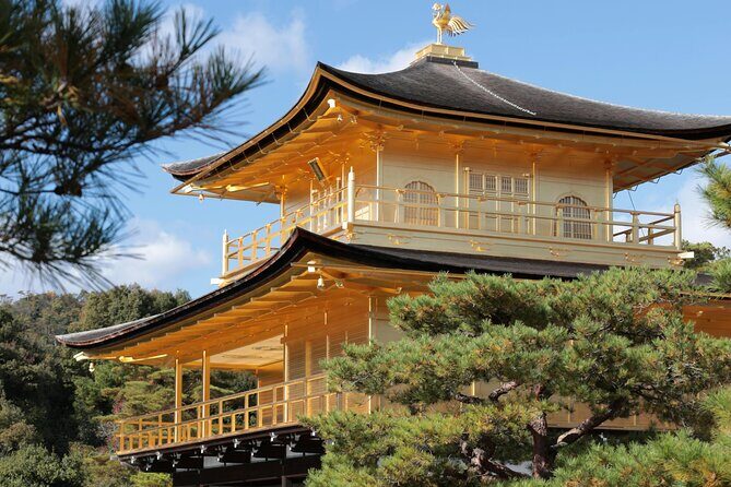 Kyoto & Osaka 10hr Luxury Private Car Tour with English Driver - Why This Tour Offers Great Value