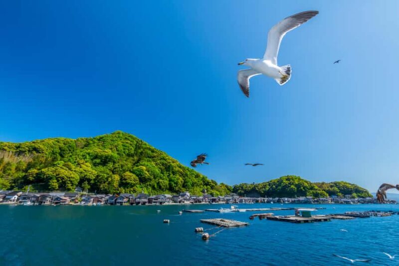 Kyoto/Osaka: Amanohashidate & Ine Funaya & Ine Bay Day Tour - FAQ