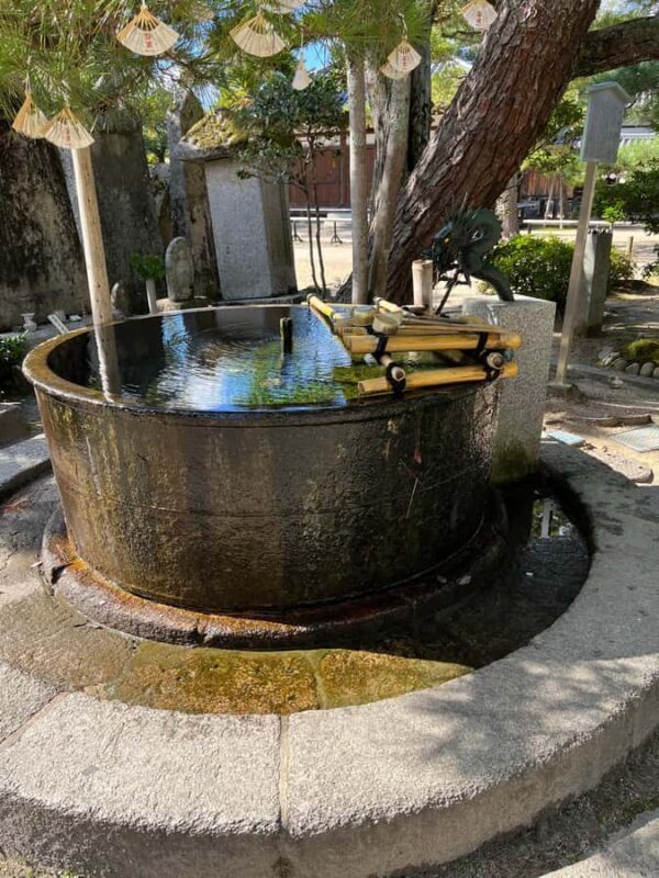 Kyoto/Osaka: Amanohashidate Panoramic View & Ine 1-Day Tour - Authentic Experiences and Authenticity