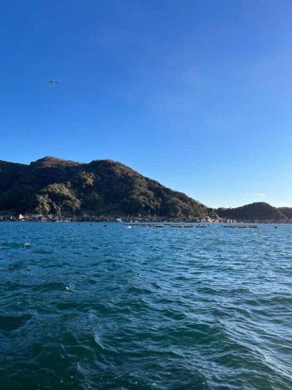 Kyoto/Osaka: Amanohashidate Panoramic View & Ine 1-Day Tour - Who Will Love This Tour?