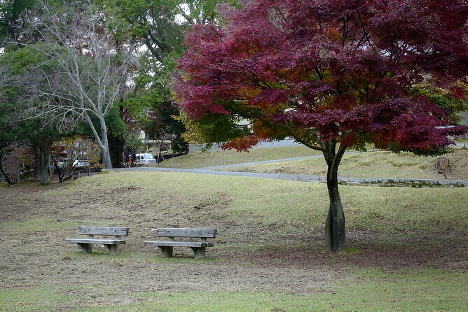 Kyoto, Osaka and Nara Customized Private Car tour - Key Points