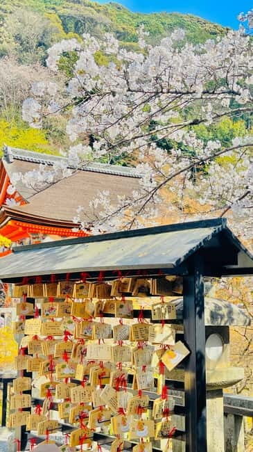 Kyoto-Osaka Customized Kyoto tour with pickup and guide - FAQ