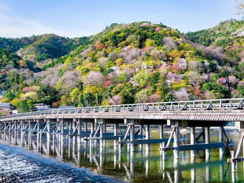 Kyoto/Osaka: Kinkakuji, Bamboo Forest, and Nara Deer Park - Final Verdict: Is It Worth It?