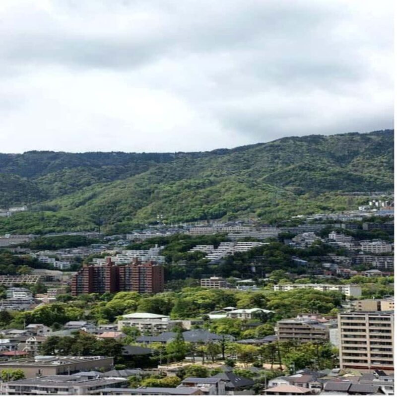 Kyoto/Osaka: Kobe and Himeji Private Day Trip with Pickup - An In-Depth Look at the Itinerary and Highlights