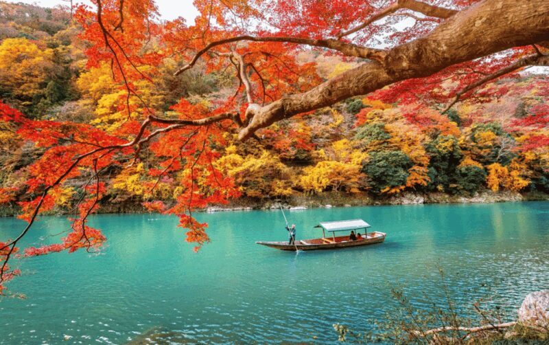 Kyoto/Osaka: Kyoto and Nara Customizable Guided Day Trip - An Open-Ended Adventure in Historical Japan