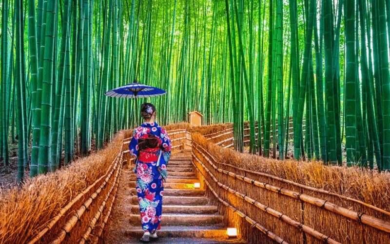 Kyoto/Osaka: Kyoto and Nara Customizable Guided Day Trip - What to Expect from this Tour