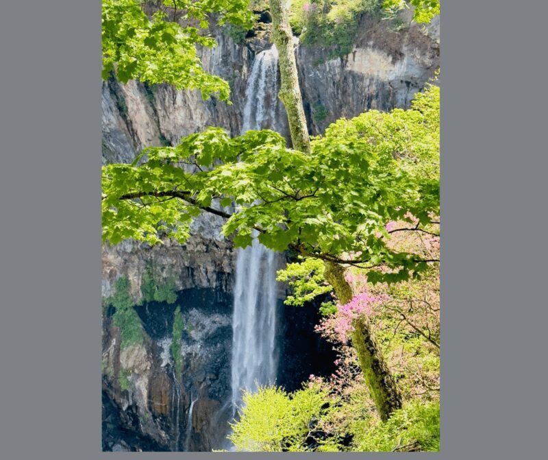 Kyoto/Osaka: Kyoto and Nara Customizable Guided Day Trip - Authentic Experiences and Hidden Gems