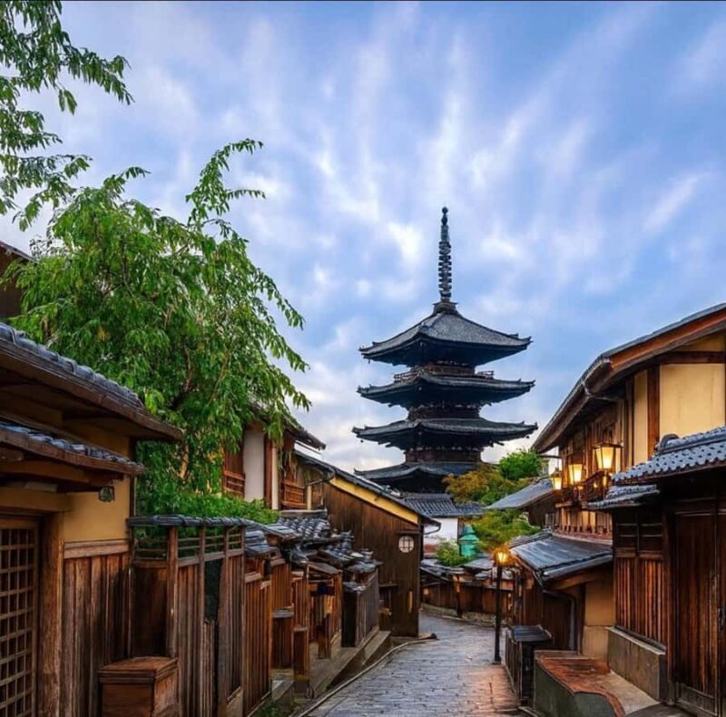 Kyoto/Osaka: Kyoto and Nara Customized Private Guided Tour - Introduction