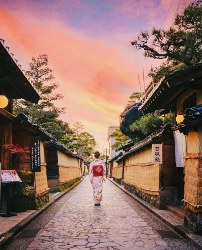 Kyoto/Osaka: Kyoto and Nara Customized Private Guided Tour - Who Will Benefit Most?