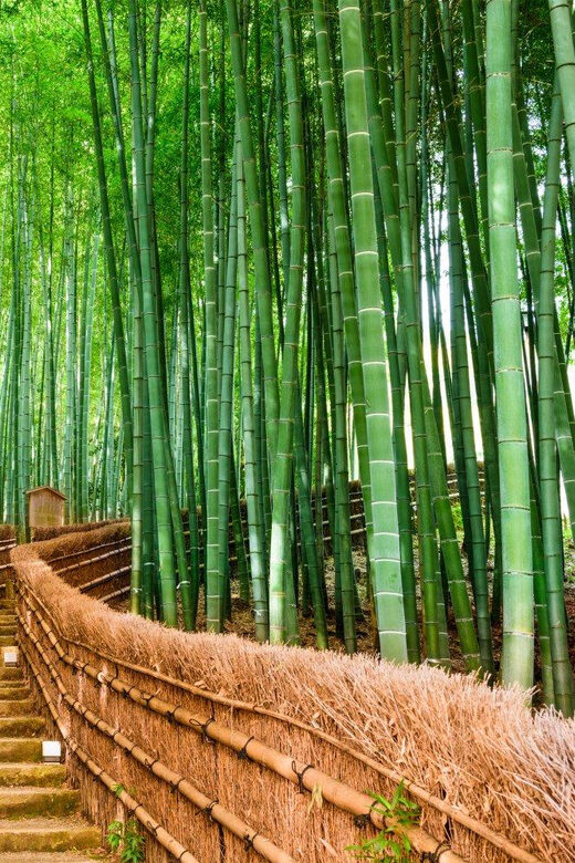 Kyoto/Osaka: Kyoto and Nara Customized Private Guided Tour - FAQ