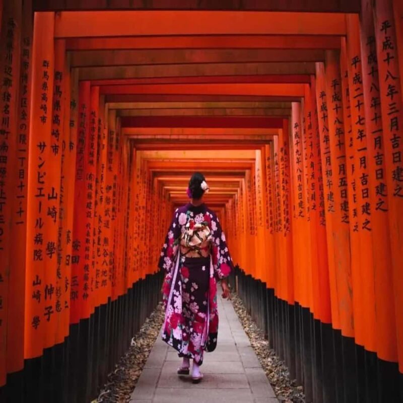 Kyoto/Osaka: Kyoto&Nara Private Guided English Speaking Tour - Who Will Love This Tour?