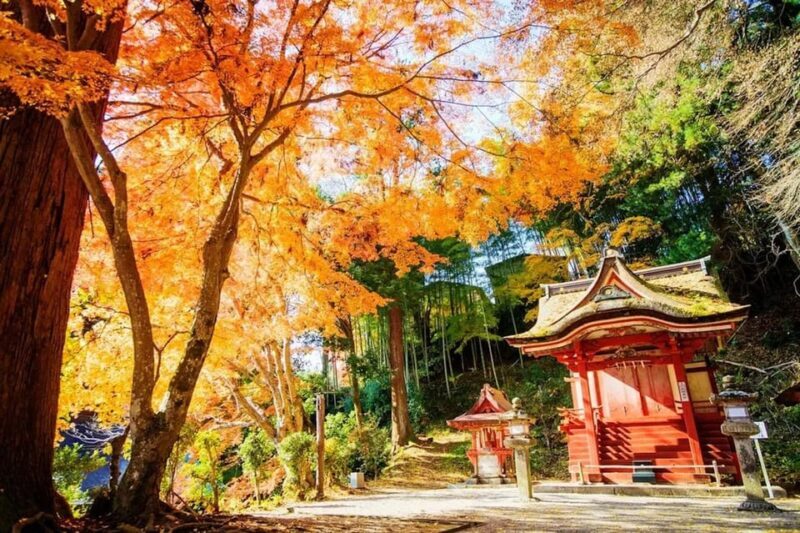 Kyoto/Osaka: Nara Customizable Self-Guided Tour with Driver - FAQ