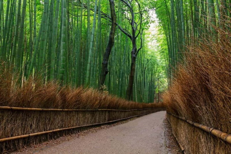 Kyoto/Osaka: Nara, Fushimi Inari Taisha, Arashiyama Bus Tour - Authentic Experiences and What You’ll Take Home