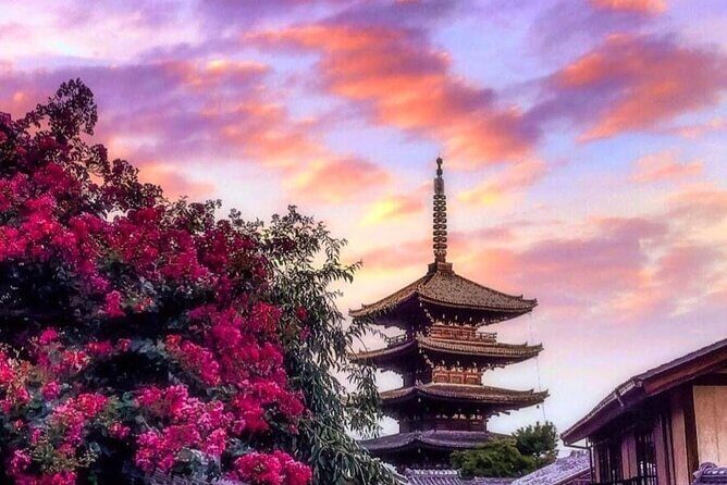 Kyoto, Osaka, Nara Private Tour by Car English Driver Guide - The Experience in Detail