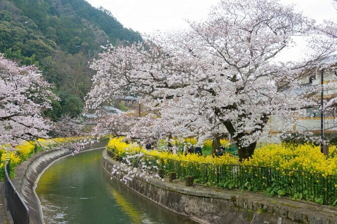Kyoto Osaka to Lake Biwa Private Day Tour - How Valuable Is This Tour?