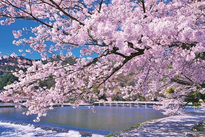 Kyoto Panoramic Day Tour Fushimi Inari Arashiyama and Temples - Authenticity and Cultural Appreciation