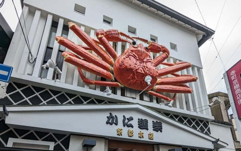 Kyoto: Personalize, private tour (3h, 5h, 8h) [W/Car Option] - Detailed Breakdown of the Experience