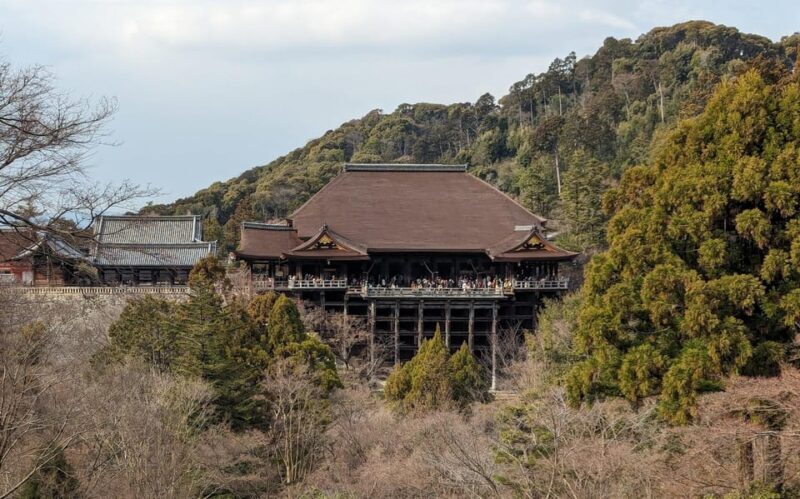 Kyoto: Personalize, private tour (3h, 5h, 8h) [W/Car Option] - Practicalities and Considerations