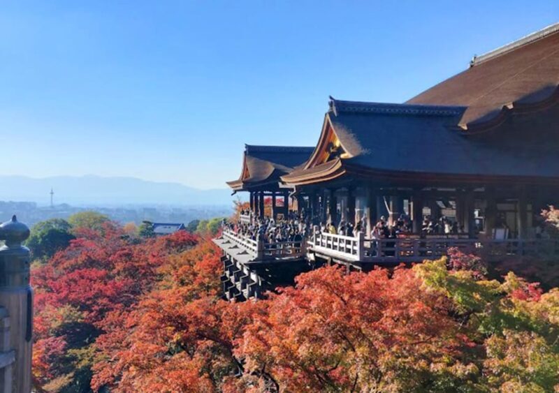 Kyoto: private and customized tour (walking/public transportation) - Frequently Asked Questions