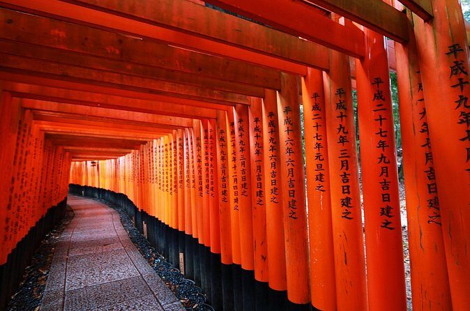 Kyoto Private Car Tour - The Sum Up: Is It a Good Choice?