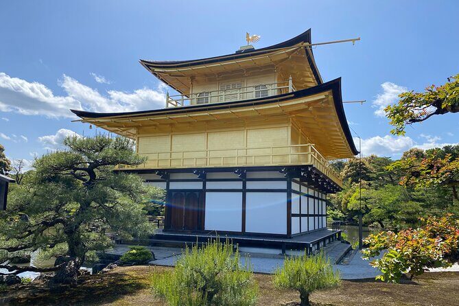 Kyoto Private Car Tour from Osaka to Gion and Fushimi - Exploring Kyoto in Comfort and Style