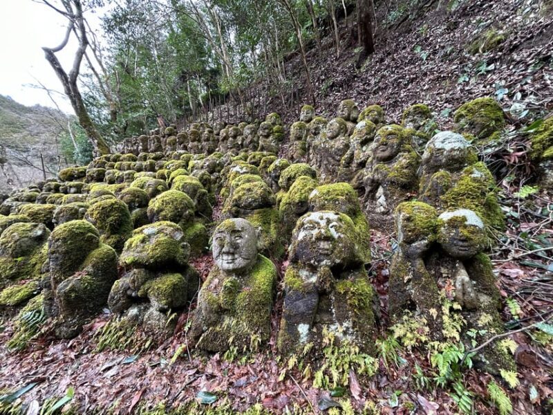 Kyoto: Private Car Tour With a Local Resident Conductor - Who Will Love This Tour?