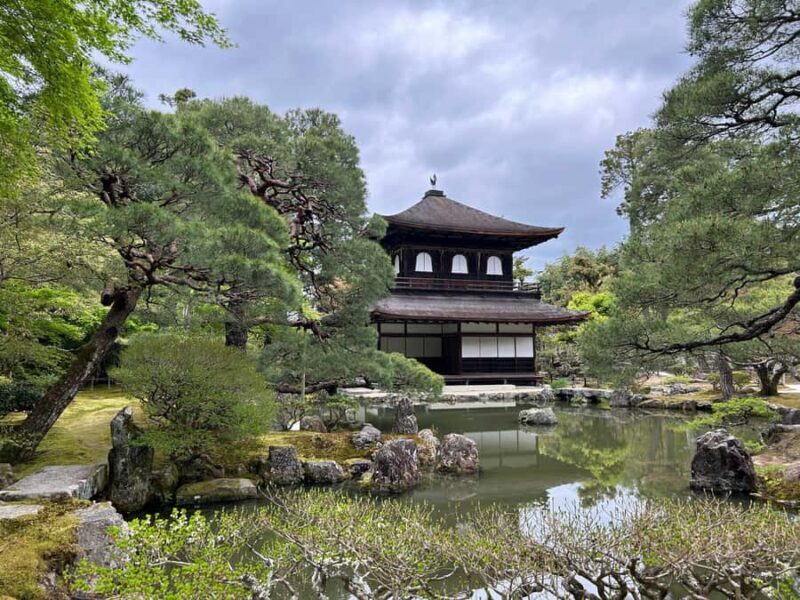 Kyoto: Private Car Tour With a Local Resident Conductor - Final Thoughts