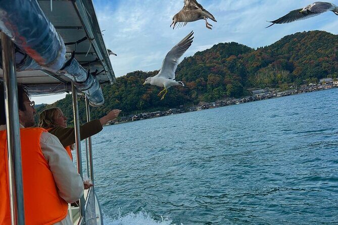 Kyoto Private Car Tour with English Guide Driver (Amanohashidate) - Cost-Effectiveness and Value