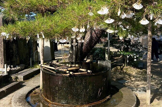 Kyoto Private Car Tour with English Guide Driver (Amanohashidate) - Who Should Book This Tour?