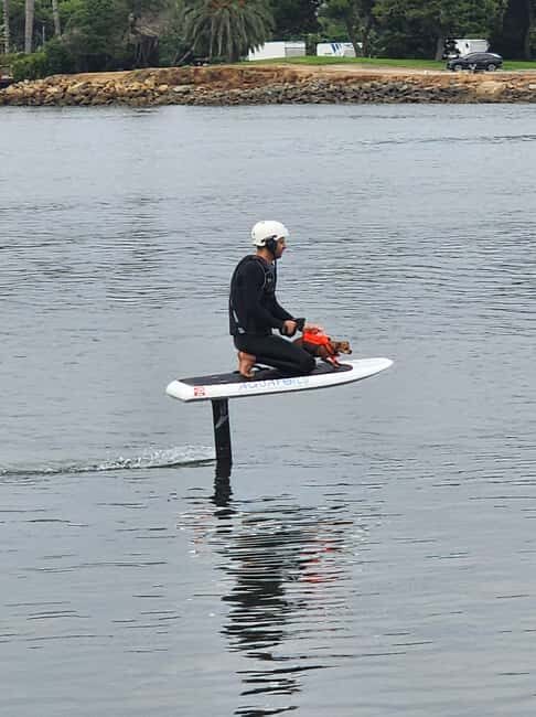 Kyoto Private Car Tour with Japanese Navigator (+Nara) T5 - The Value for Money