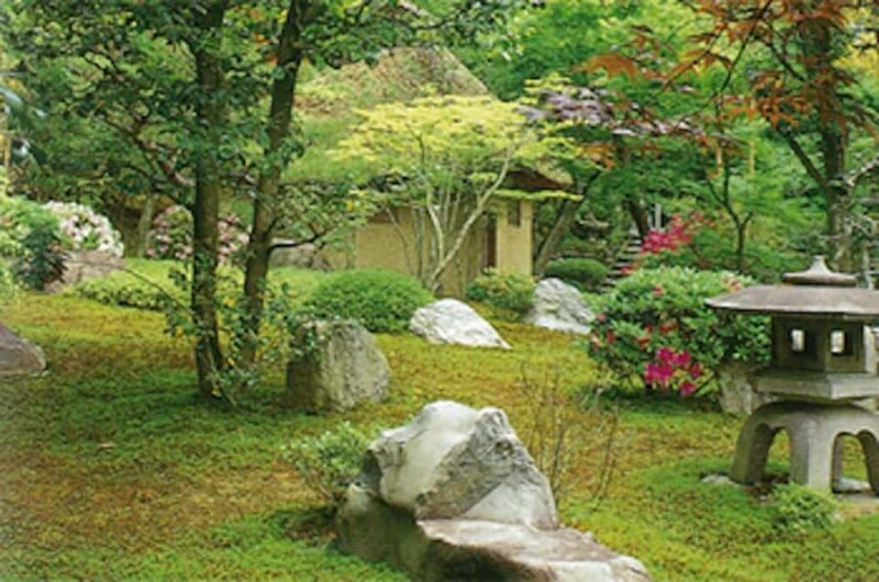 Kyoto: Private charter tour (Bamboo Trail, Suzumushi Temple) - A Closer Look at Kyoto’s Hidden Gems