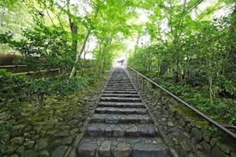 Kyoto: Private charter tour (Bamboo Trail, Suzumushi Temple) - What’s Included and How It Works