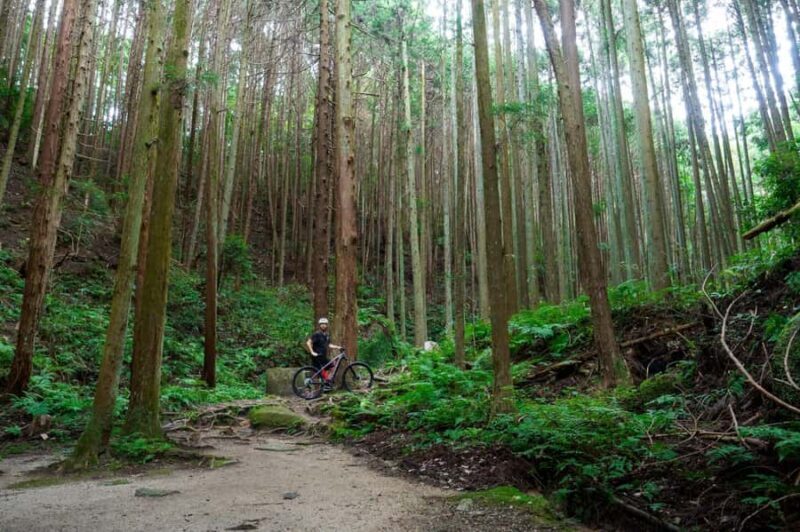 Kyoto: Private Countryside E-Bike Tour with Lunch and Tea - The Experience in Detail: What to Expect