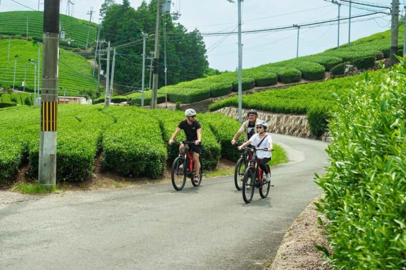 Kyoto: Private Countryside E-Bike Tour with Lunch and Tea - Who Should Consider This Tour?