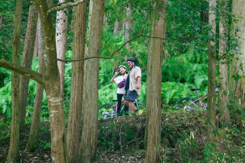 Kyoto: Private Countryside E-Bike Tour with Lunch and Tea - Summary: Is This Tour Right for You?