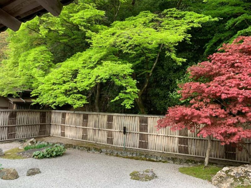 Kyoto: Private Cultural and Historical Tour in Spanish - The Practicalities: What to Expect