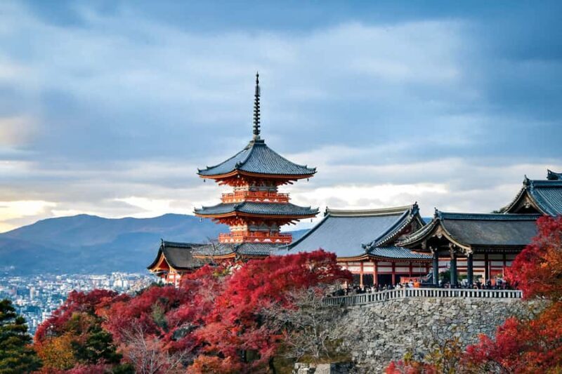 Kyoto: Private Custom Tour with English Guide and Vehicle - A Deep Dive into the Kyoto Private Tour Experience