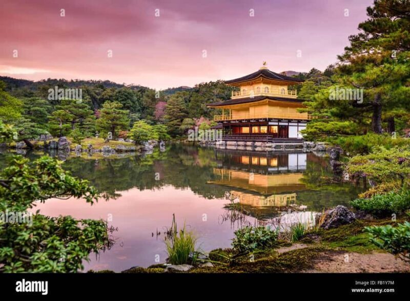 Kyoto: Private Custom Tour with English Guide and Vehicle - Who Should Consider This Tour?
