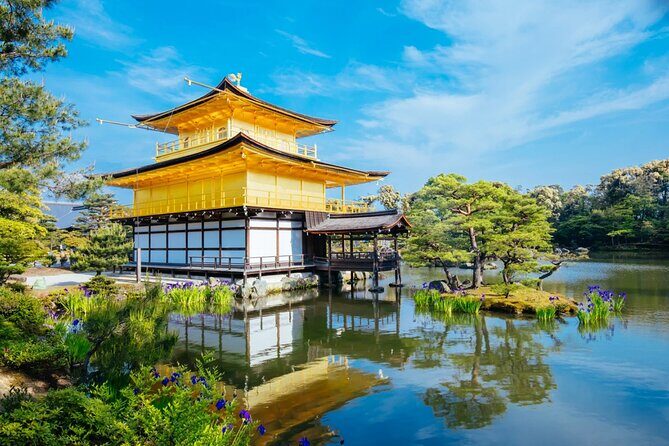 Kyoto Private Custom Tour: World Heritage, Landmarks & Local Life - What Past Travelers Say