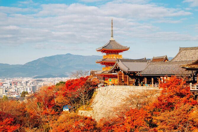 Kyoto Private Custom Tour: World Heritage, Landmarks & Local Life - The Sum Up: Is This Tour Right for You?