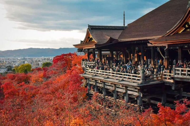 Kyoto: Private Customizable Day Tour with Guide and Vehicle - Final Thoughts: Who’s This Tour Perfect For?
