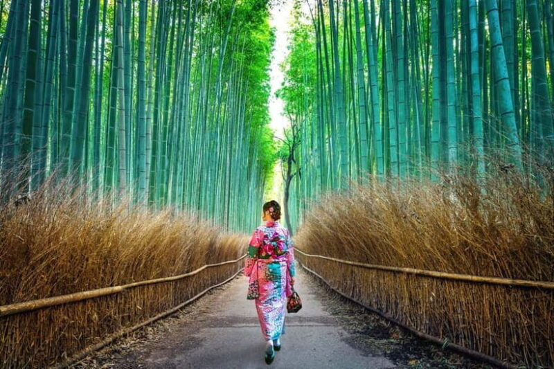 Kyoto: Private Customizable Day Tour with Guide and Vehicle - Authentic, Unforgettable Moments