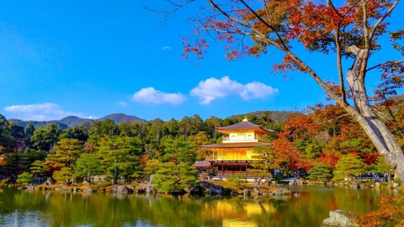 Kyoto: Private Customizable Day Trip by Car - Exploring Kyoto with a Private Customizable Day Trip by Car
