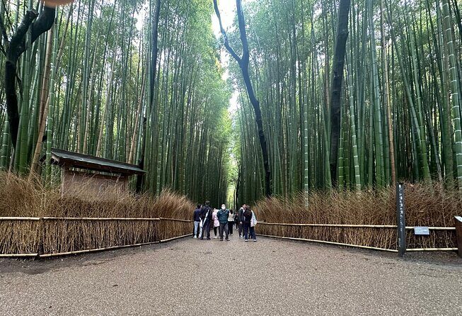 Kyoto Private Customizable Day Trip With English chauffeur - Key Points