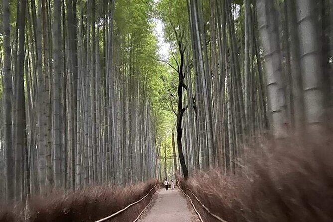 Kyoto Private Customizable Sightseeing Tour by Car-up to 9 people - Who Should Book This Tour?