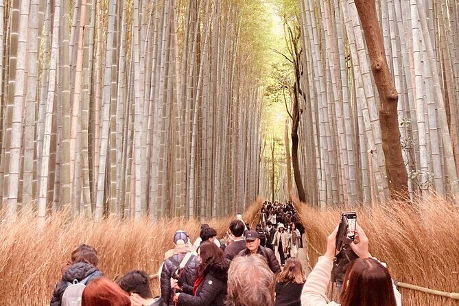 Kyoto Private & Customizable Tour with English-Speaking Driver - Why This Tour Works for Travelers