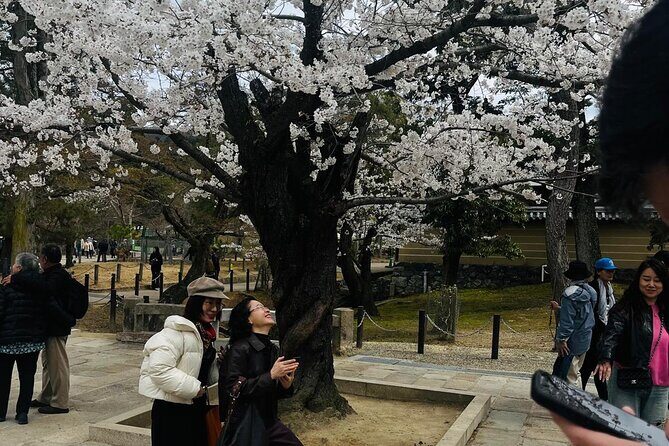 Kyoto Private & Customizable Tour with English-Speaking Driver - Frequently Asked Questions